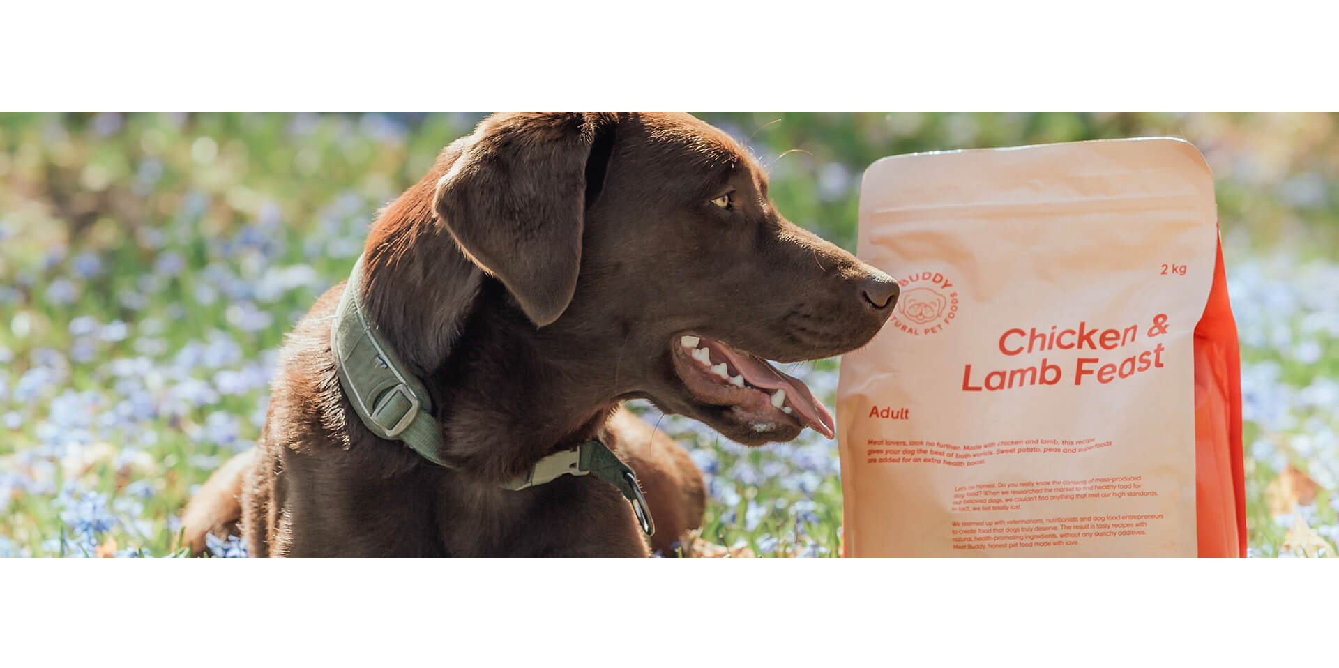 Buddy Pet Foods - Finest Petfoods